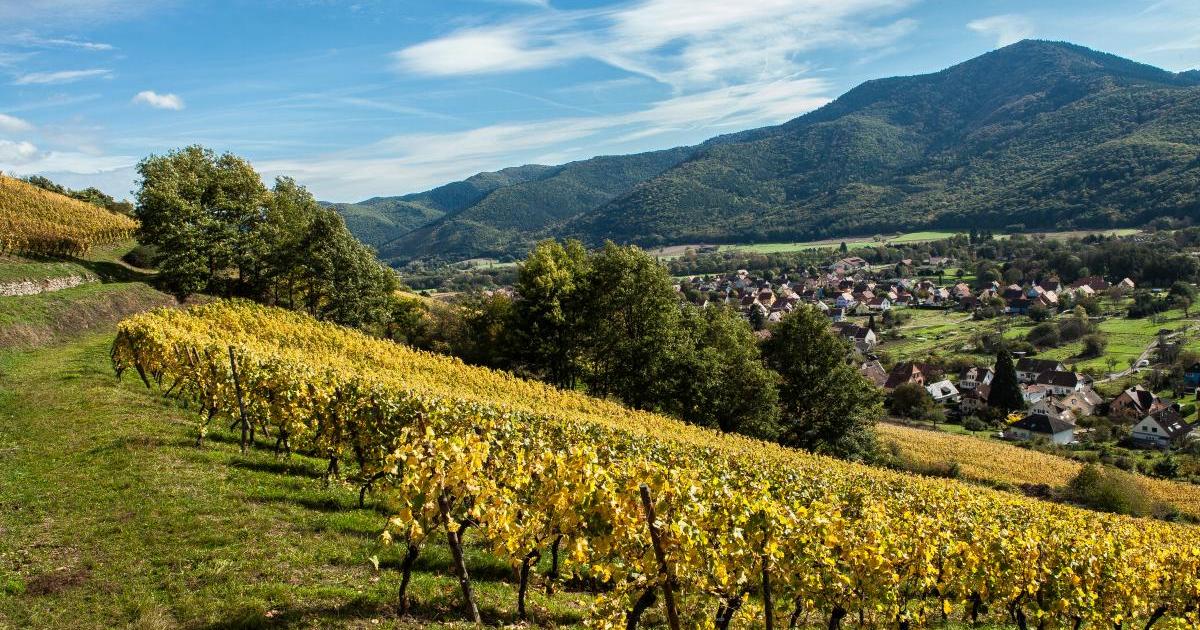 Défricher la terre pour commencer une nouvelle histoire - Une histoire ...